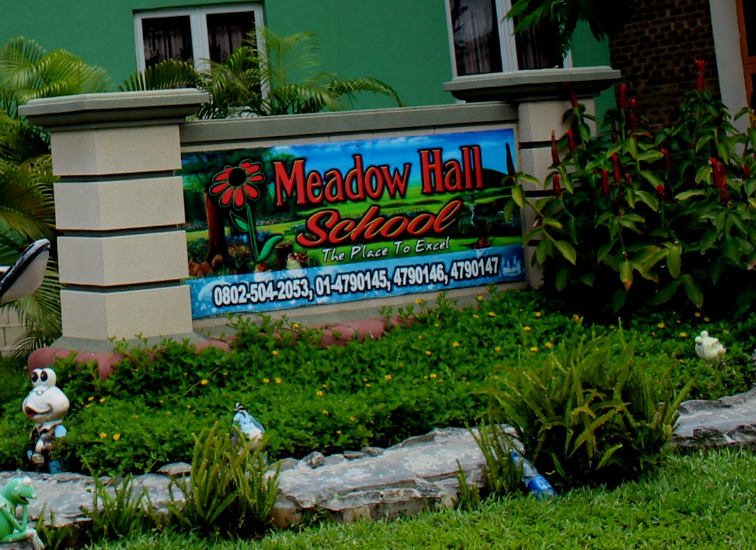 My time at Meadow Hall | Meadow Hall Education